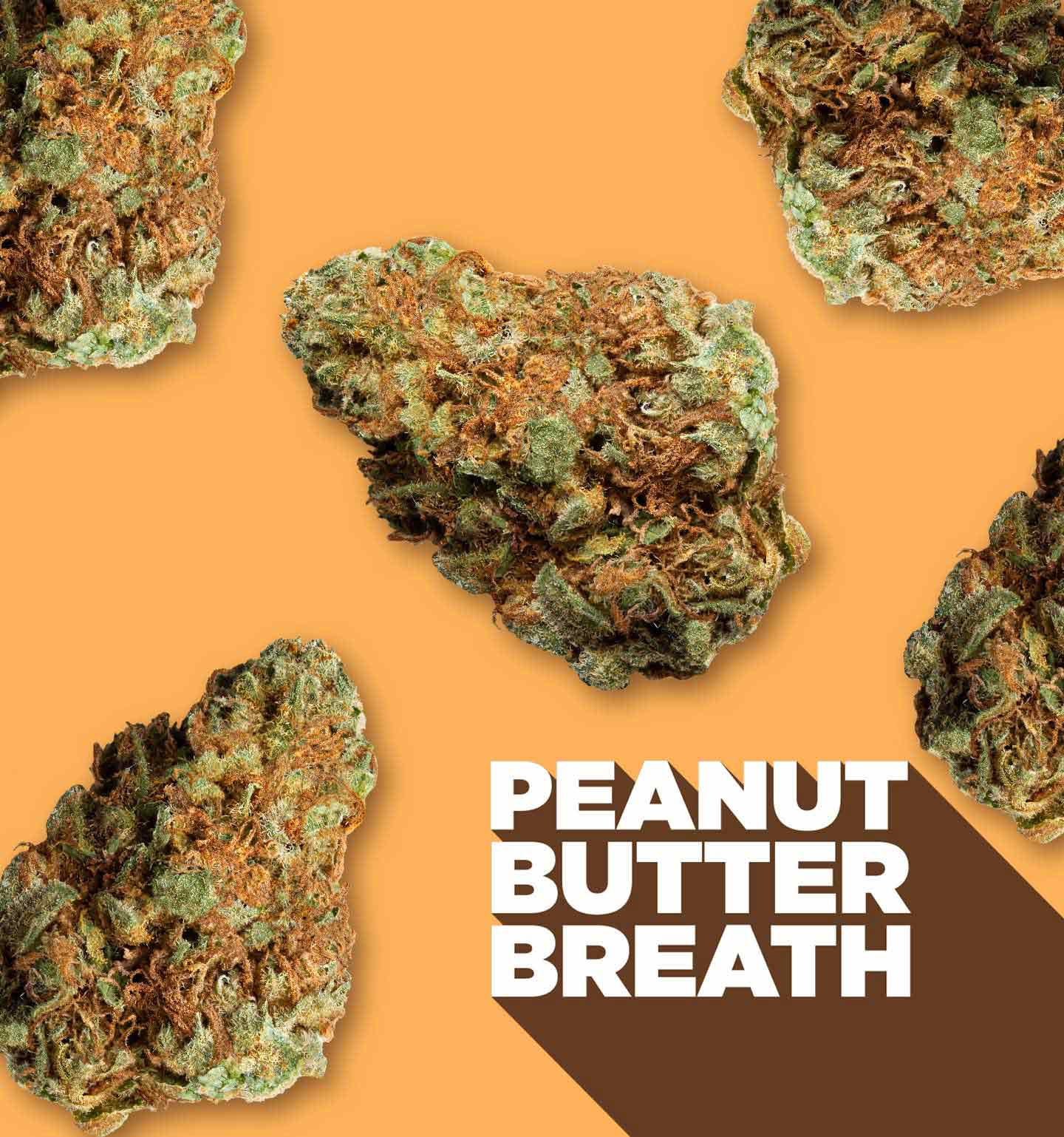 SPINACH – PEANUT BUTTER BREATH 3.5G – Up In Smoke Cannabis & Tobacconist