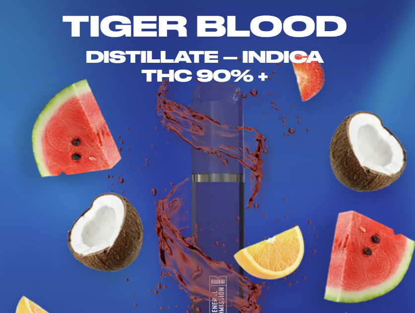 GENERAL ADMISSION – TIGER BLOOD 1G (DISPOSABLE VAPE) – Up In Smoke ...